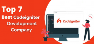 Top 7 Codeigniter Development Companies in India.